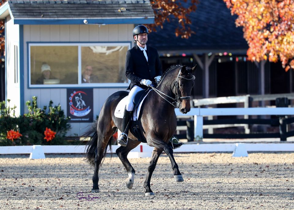 Final Countdown for the 2024 US Dressage Finals, Presented by Adequan ...